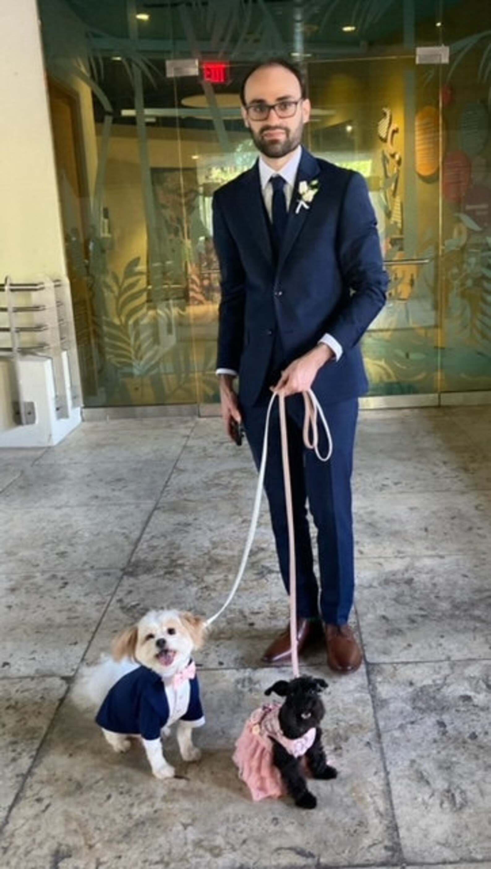 Maltese Dog Wedding Suit With Blush Bow Tie Dog Wedding Attire - Etsy