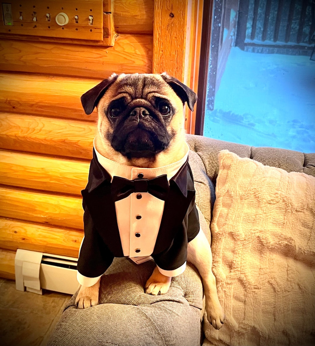 Black Wedding Dog Tuxedo Formal Dog Suit Pug Suit Luxury Dog Outfit ...