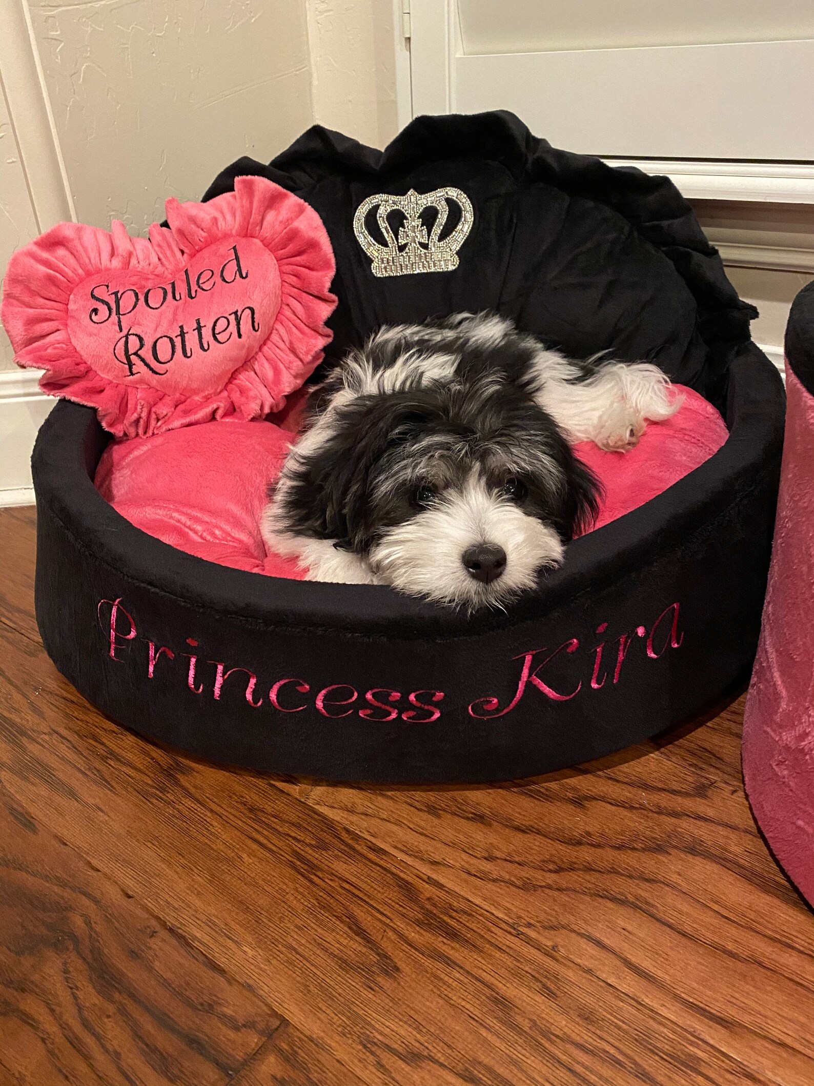 Black and Hot Pink Princess Dog Bed With Crown Sparkles - Etsy