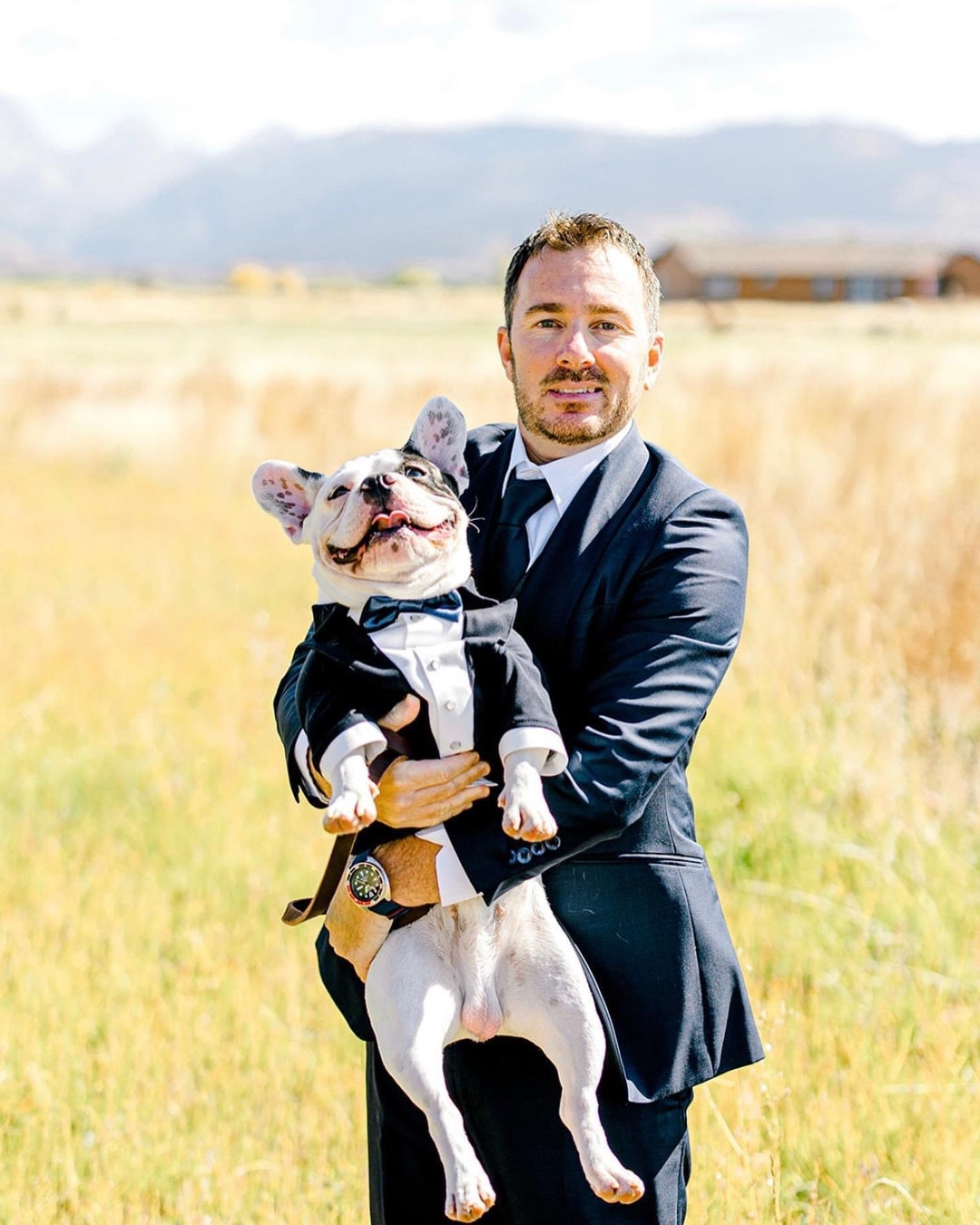 French Bulldog Dark Blue Tuxedo Formal Dog Suit Birthday Dog Costume ...