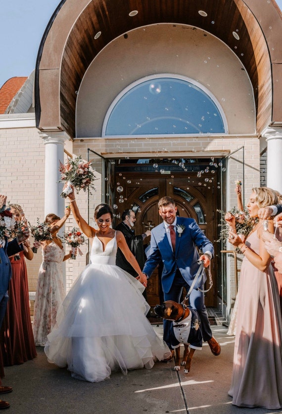 Boxer Dog Wedding Dress