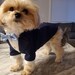 Navy Blue Dog Tuxedo With Sky Blue Bow Tie Bespoke Dog Tuxedo - Etsy