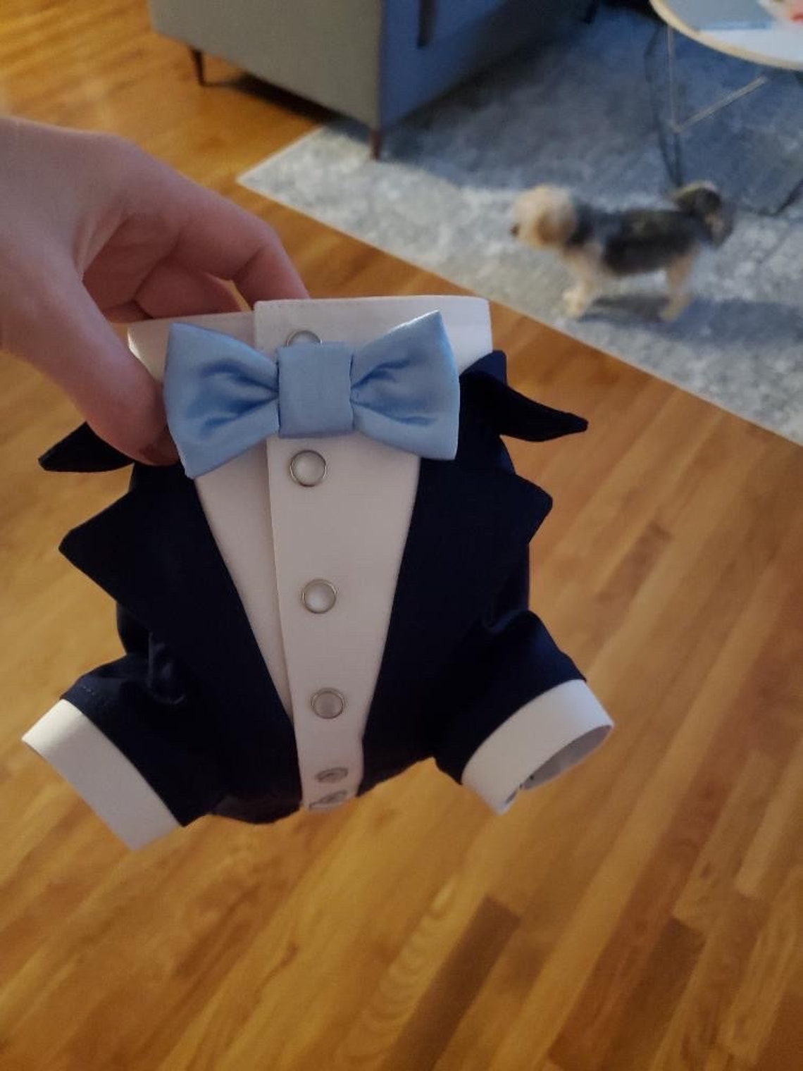 Navy Blue Dog Tuxedo With Sky Blue Bow Tie Bespoke Dog Tuxedo - Etsy
