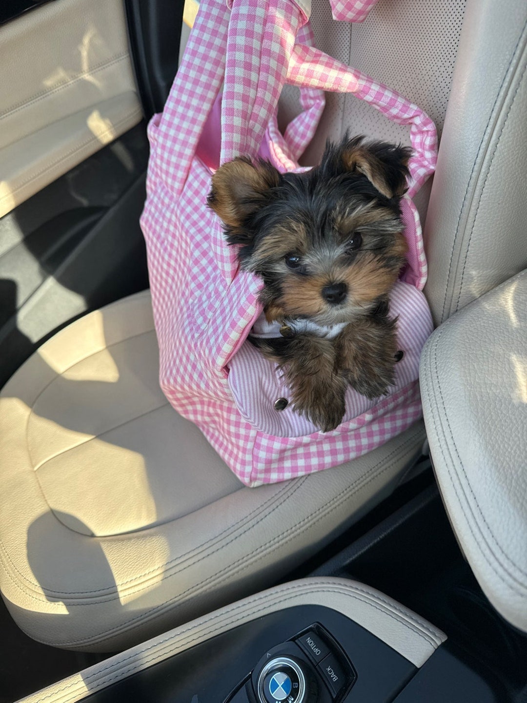 Baby Pink and Cream Plaid Dog Carrier Yorkshire Dog Bag Puppy Pink Bag ...