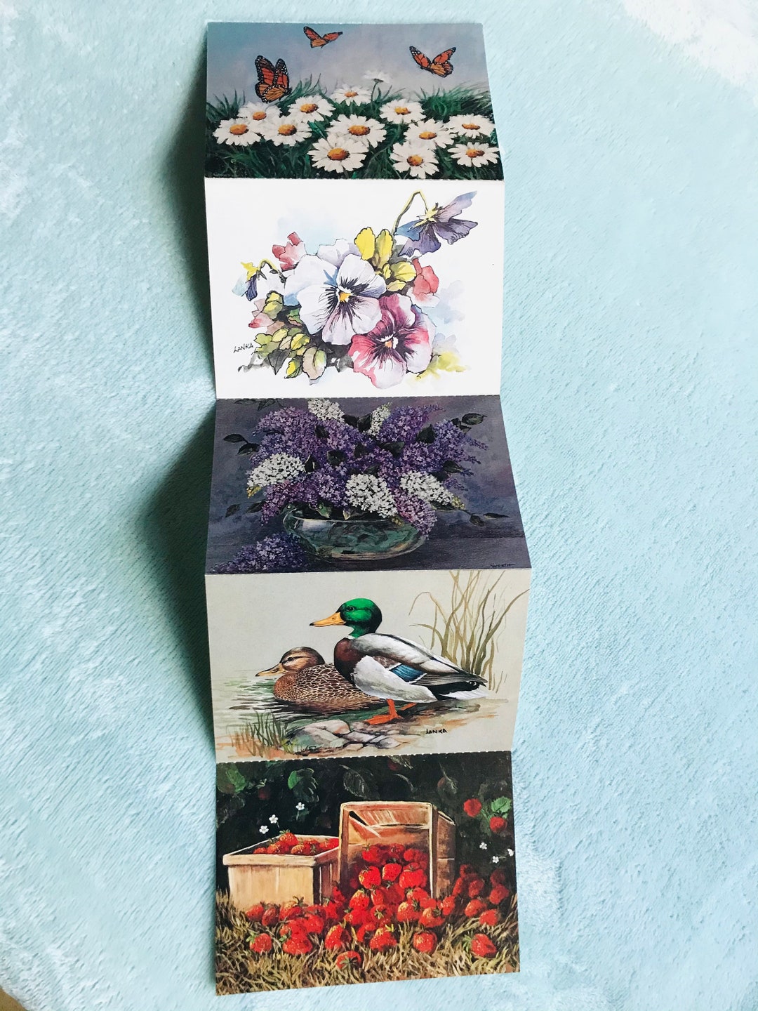 Vintage Nature Postcards Set of 5. - Etsy