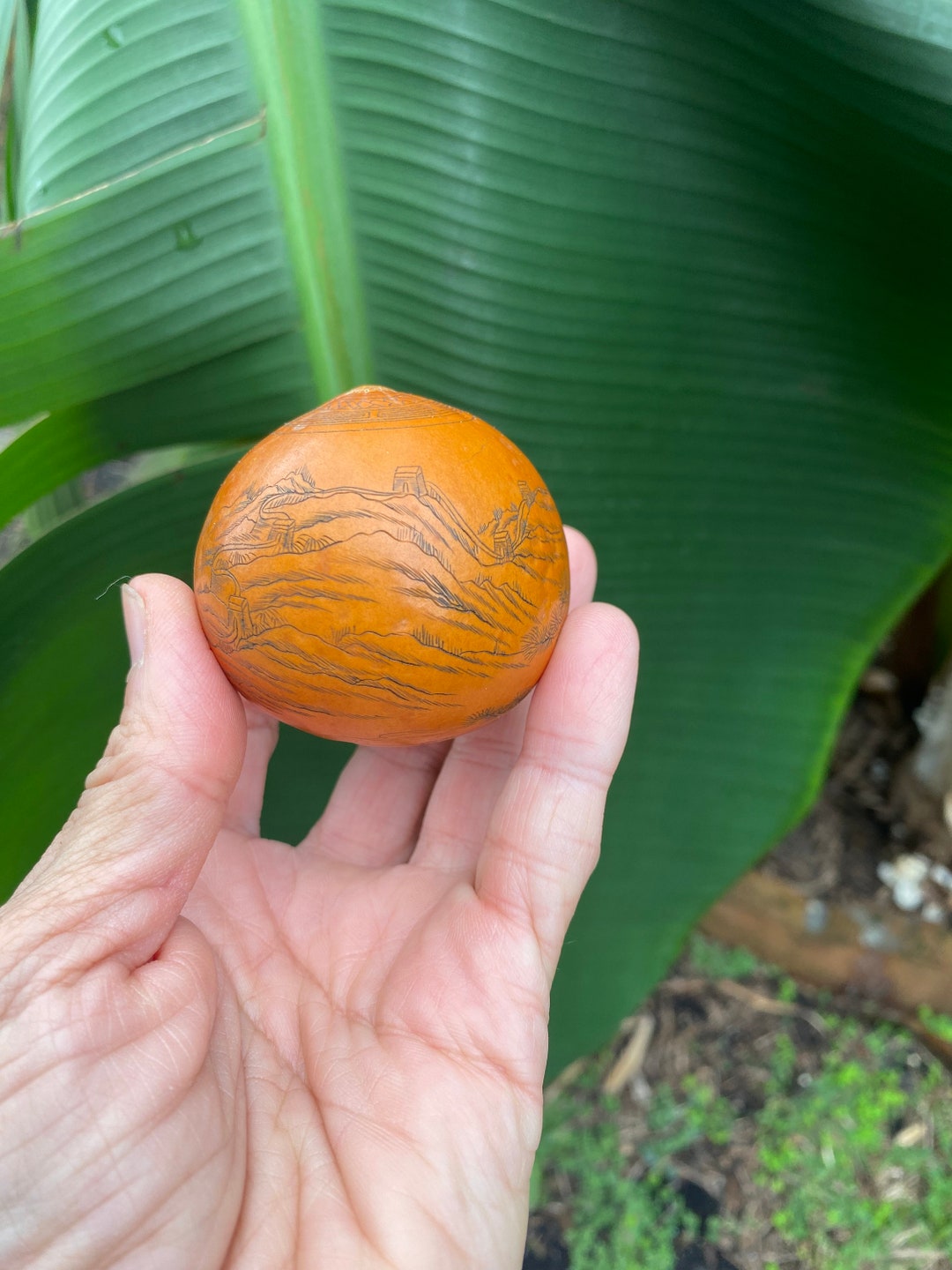 Vintage Chinese Gourd Hand Carved Folk Art Wall Gourd - Etsy