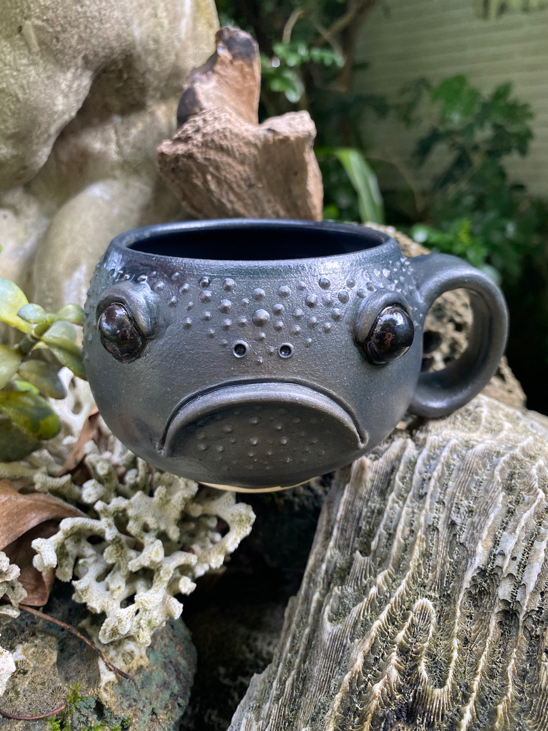 Frog Mug Grumpy Amphibian Black Coffee Mug, Sad but Cute Frog Face Tea ...