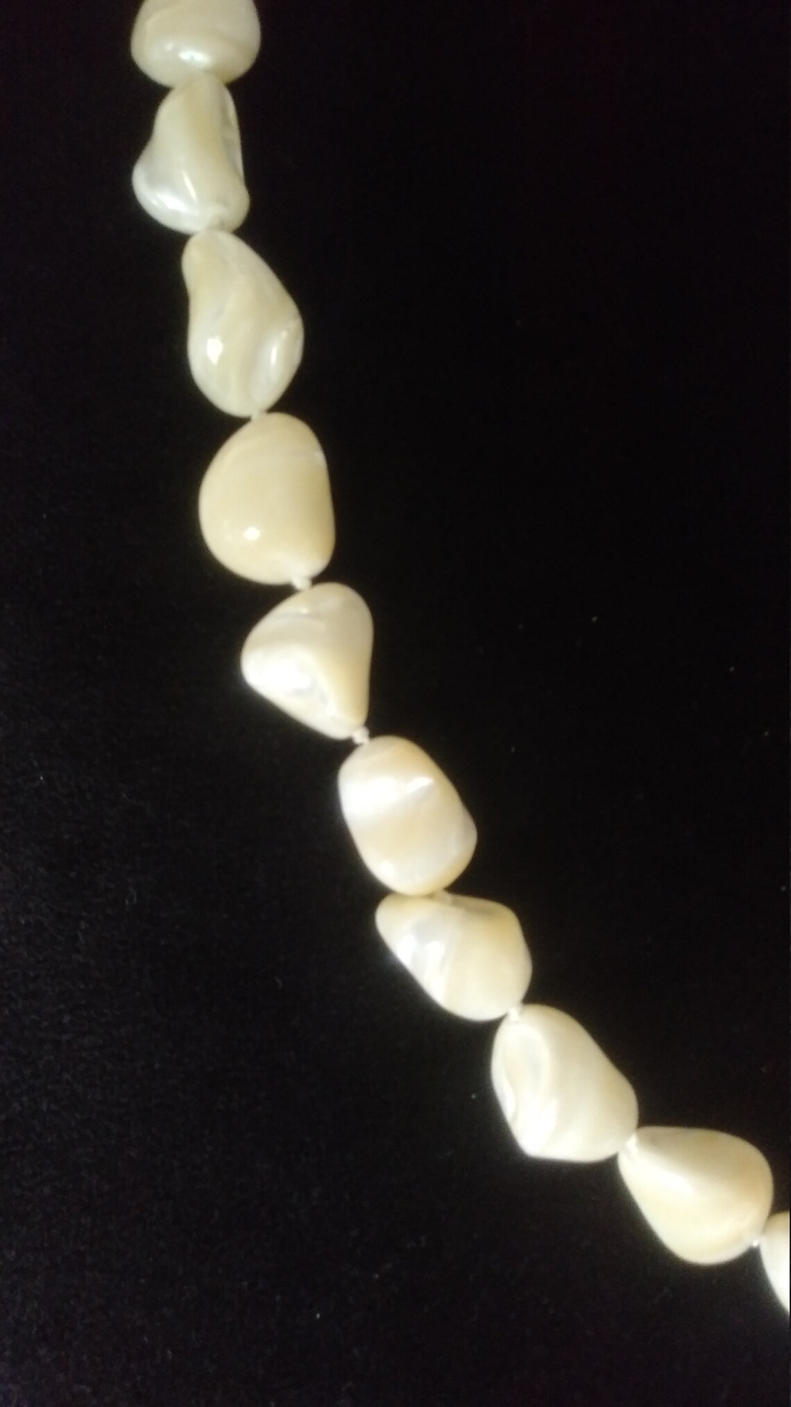 Turbo Shell Long Necklace. - Etsy