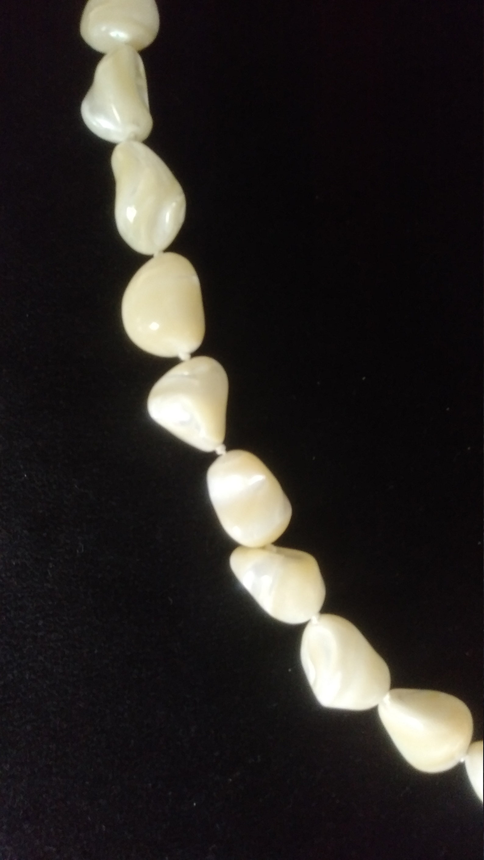 Turbo Shell Long Necklace. - Etsy