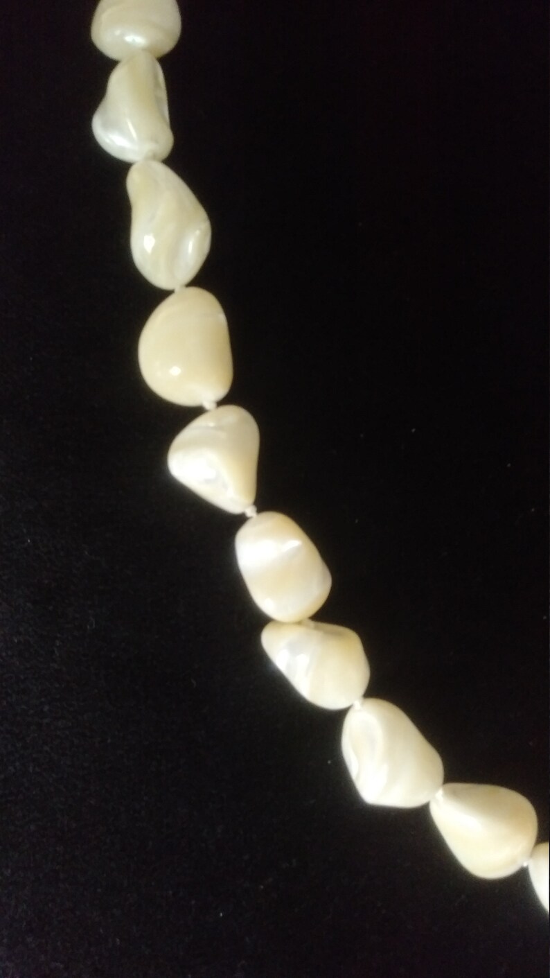 Turbo Shell Long Necklace. - Etsy