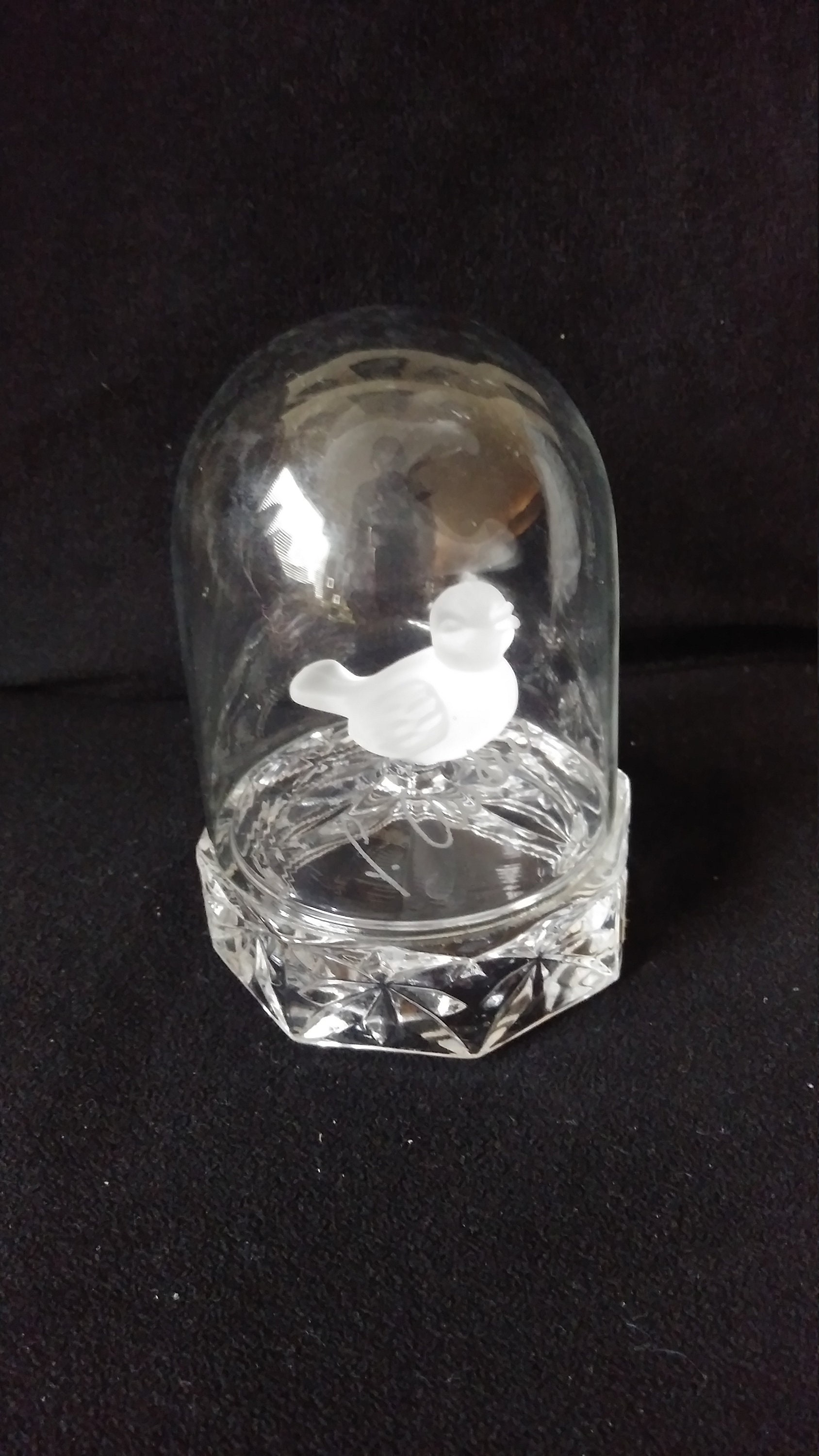 HOFBAUER'S Signed Frosted Bird in a Crystal Dome - Etsy