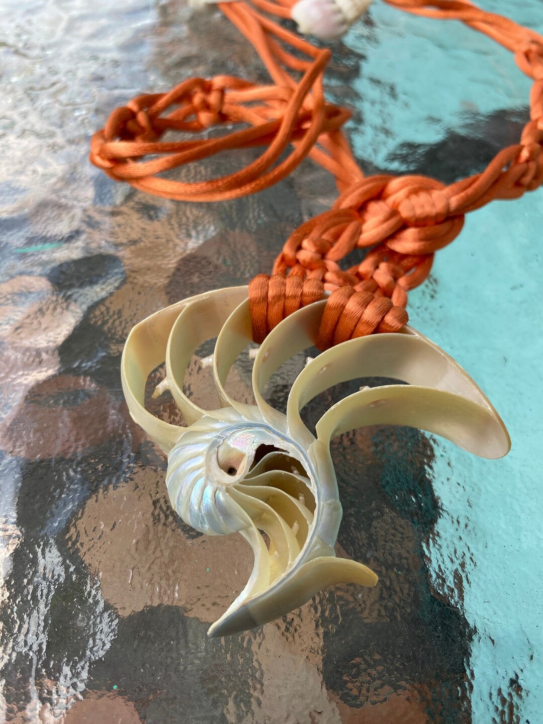 Vintage Nautilus Shell Necklace With Silk Thread Necklace. - Etsy