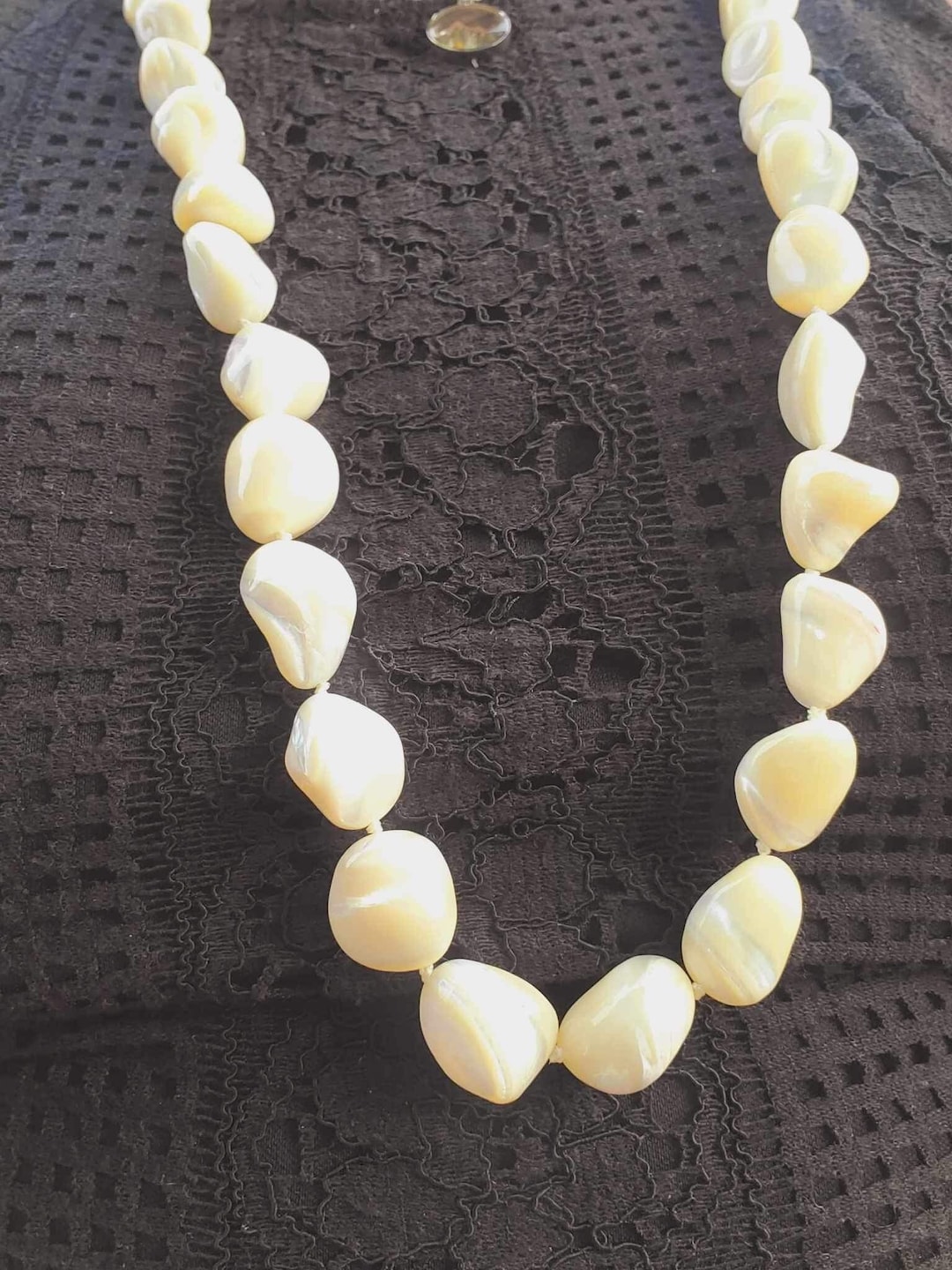 Turbo Shell Long Necklace. - Etsy