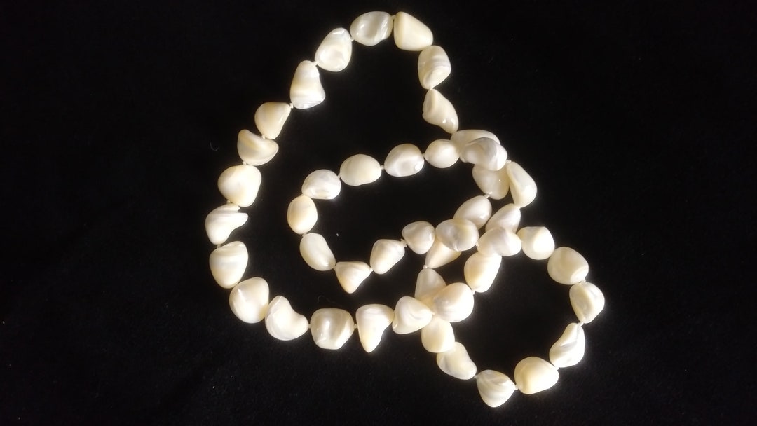 Turbo Shell Long Necklace. - Etsy