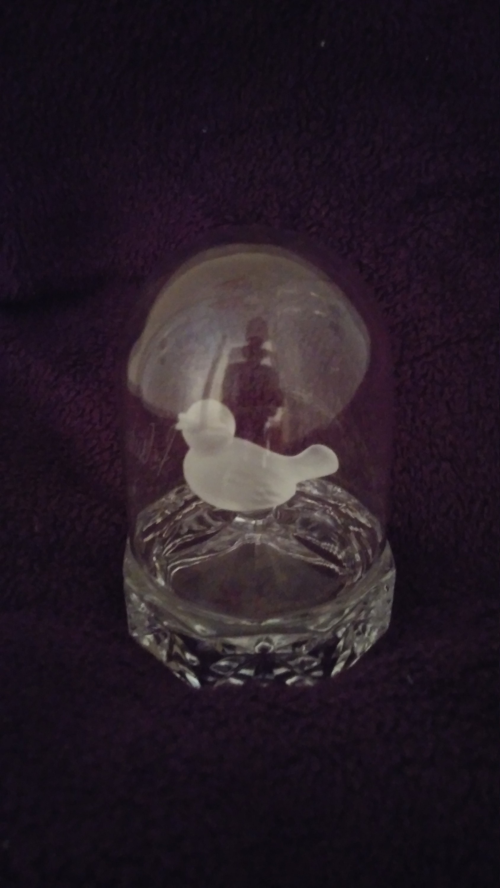 HOFBAUER'S Signed Frosted Bird in a Crystal Dome - Etsy