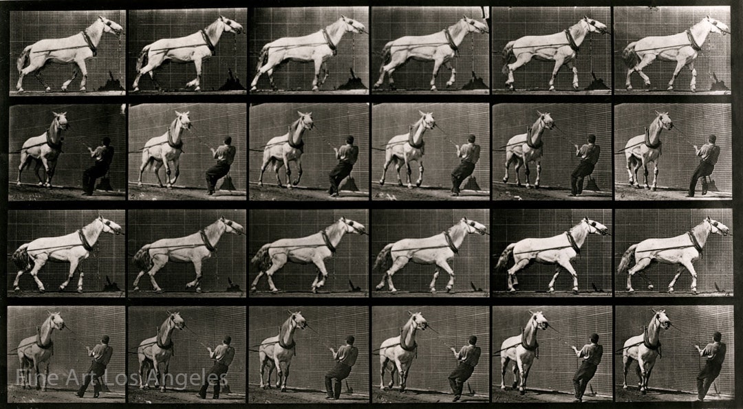 Eadweard Muybridge Photo, Vintage Motion Study, Horse Pulling Load ...