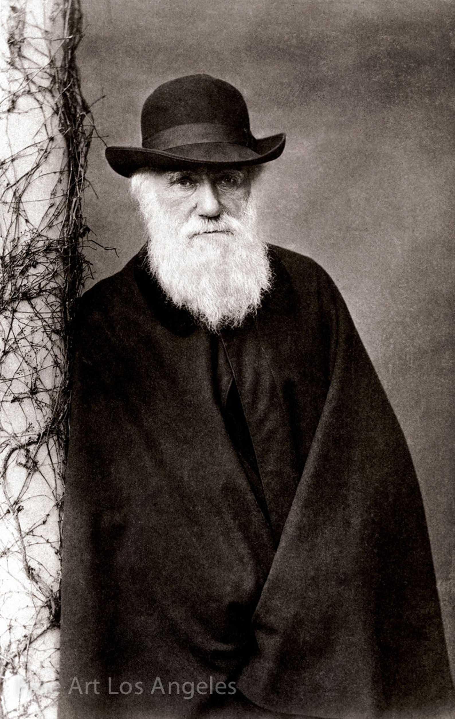 Elliot and Fry Photo of Charles Darwin, 1880 - Etsy