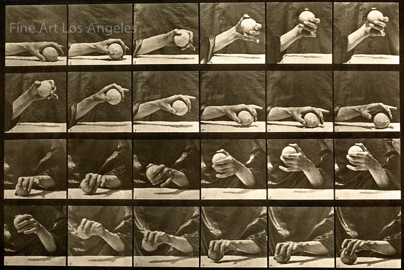 Eadweard Muybridge Photo Vintage Motion Study baseball - Etsy
