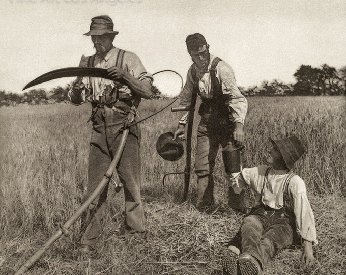 Peter Henry Emerson Photo in the Barley Harvest 1888 - Etsy