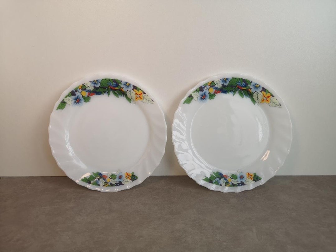 Indonesian SURYA OPAL Breakfast Plates, With Toucans, Berries and ...