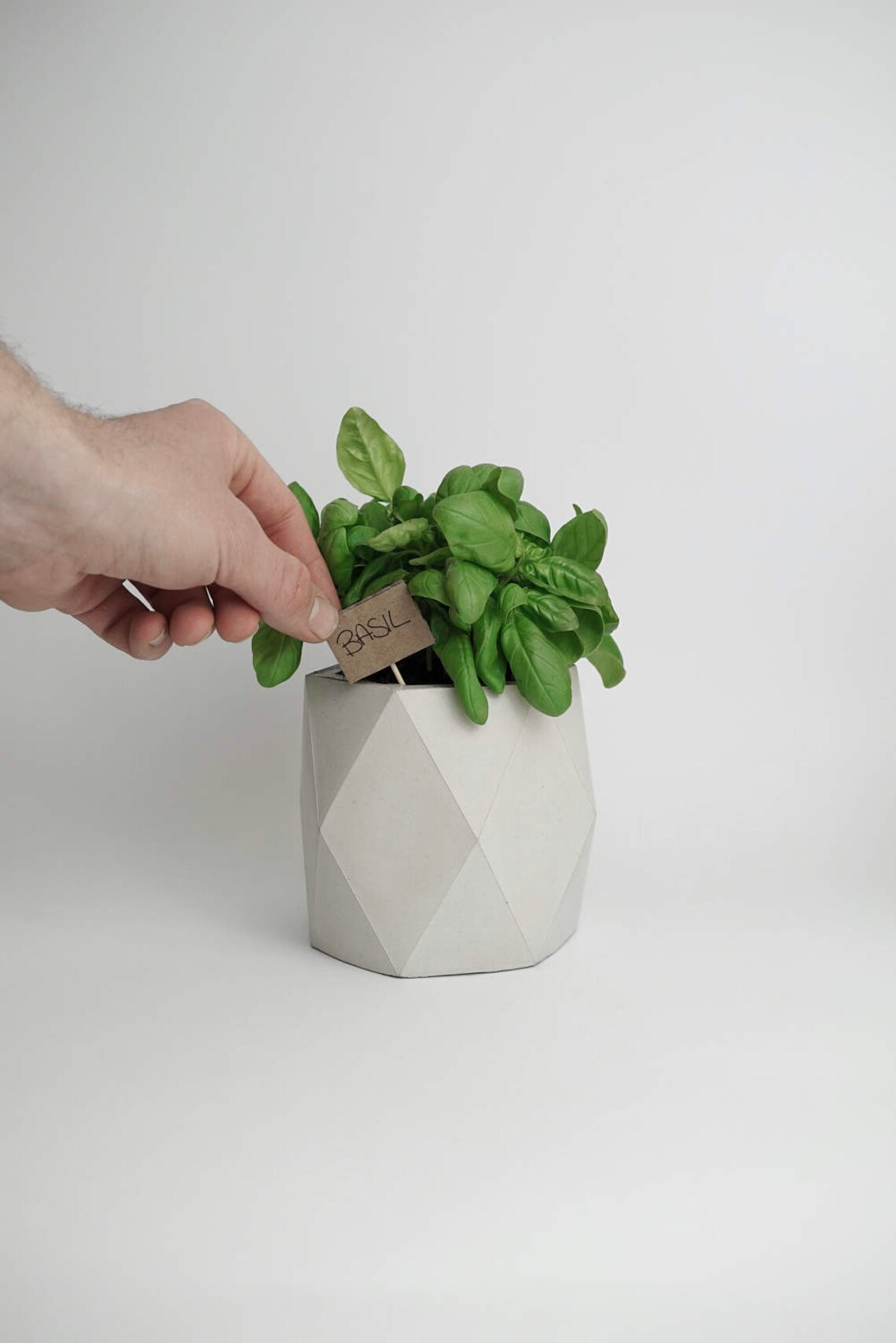 ORE Concrete Pots Vases Planter Set of 3 - Etsy Canada