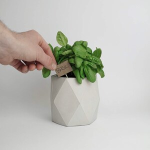 ORE Concrete Pots Vases Planter Set of 3 - Etsy Canada