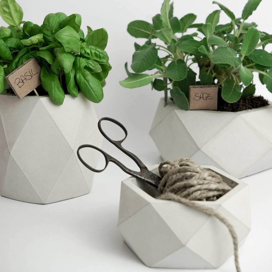ORE Concrete Pots Vases Planter Set of 3 - Etsy Canada