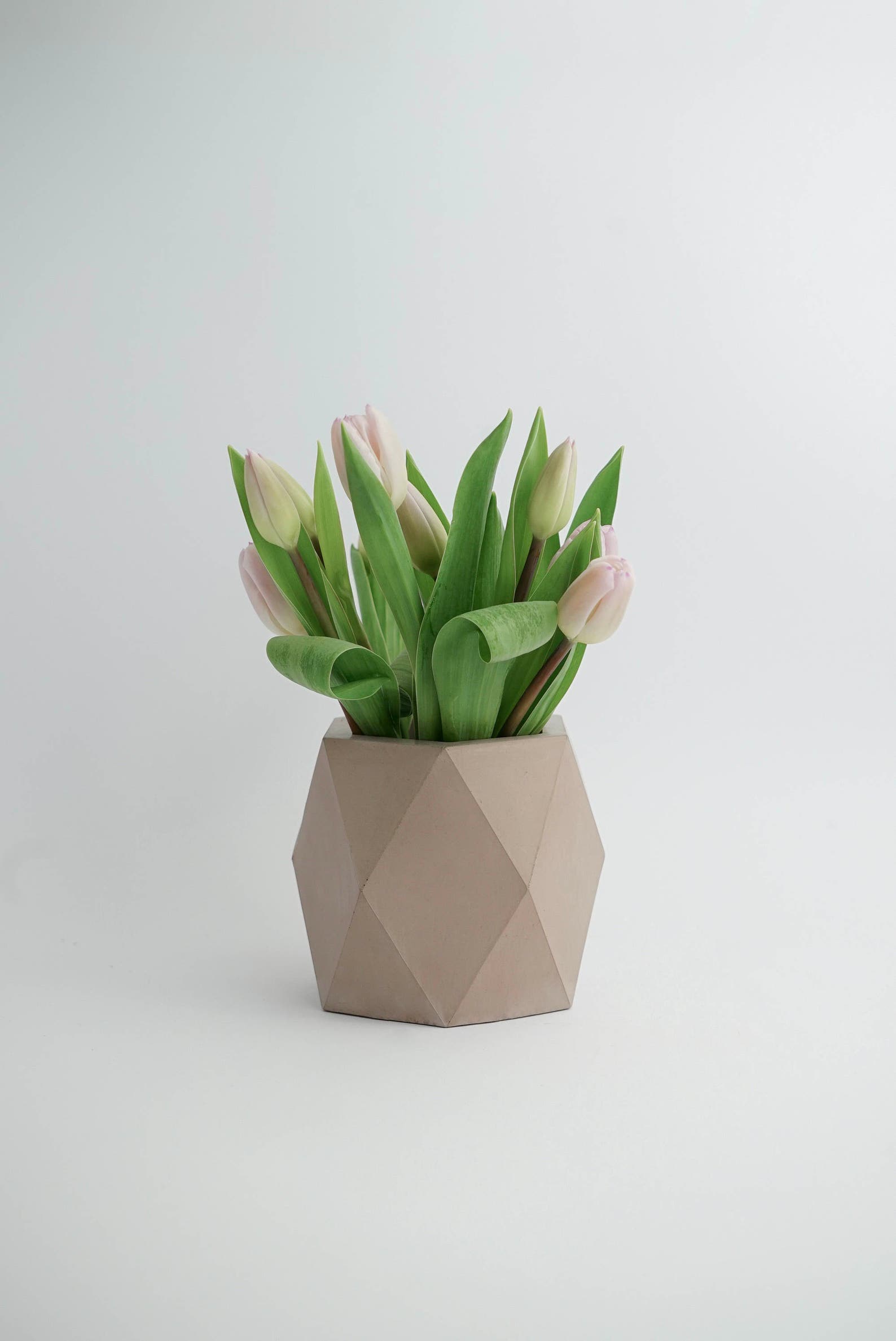 ORE IN PINK Geometric Concrete Vase Planter Pot - Etsy