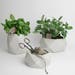 ORE Concrete Pots Vases Planter Set of 3 - Etsy Canada