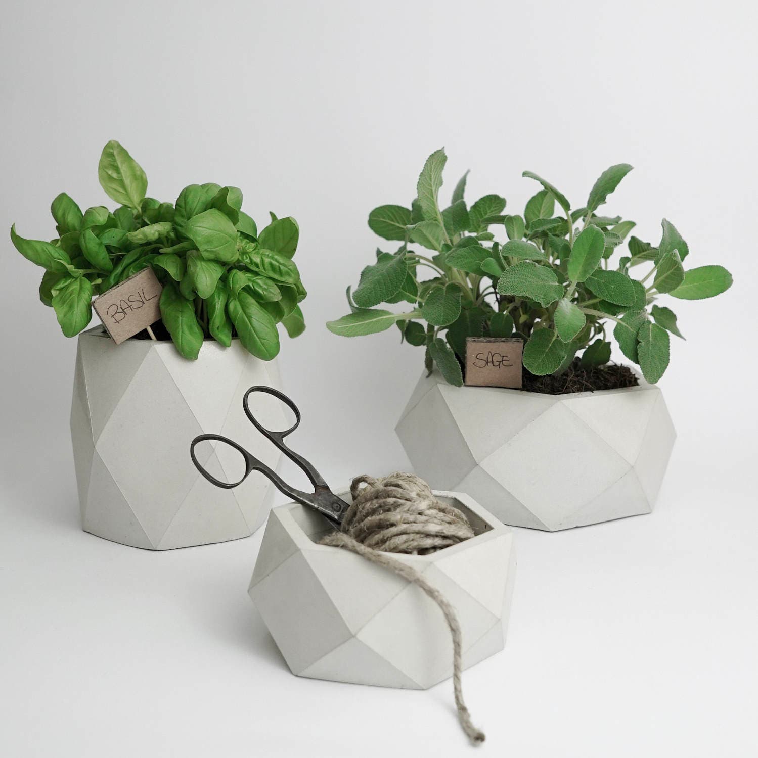 ORE Concrete Pots Vases Planter Set of 3 - Etsy Canada