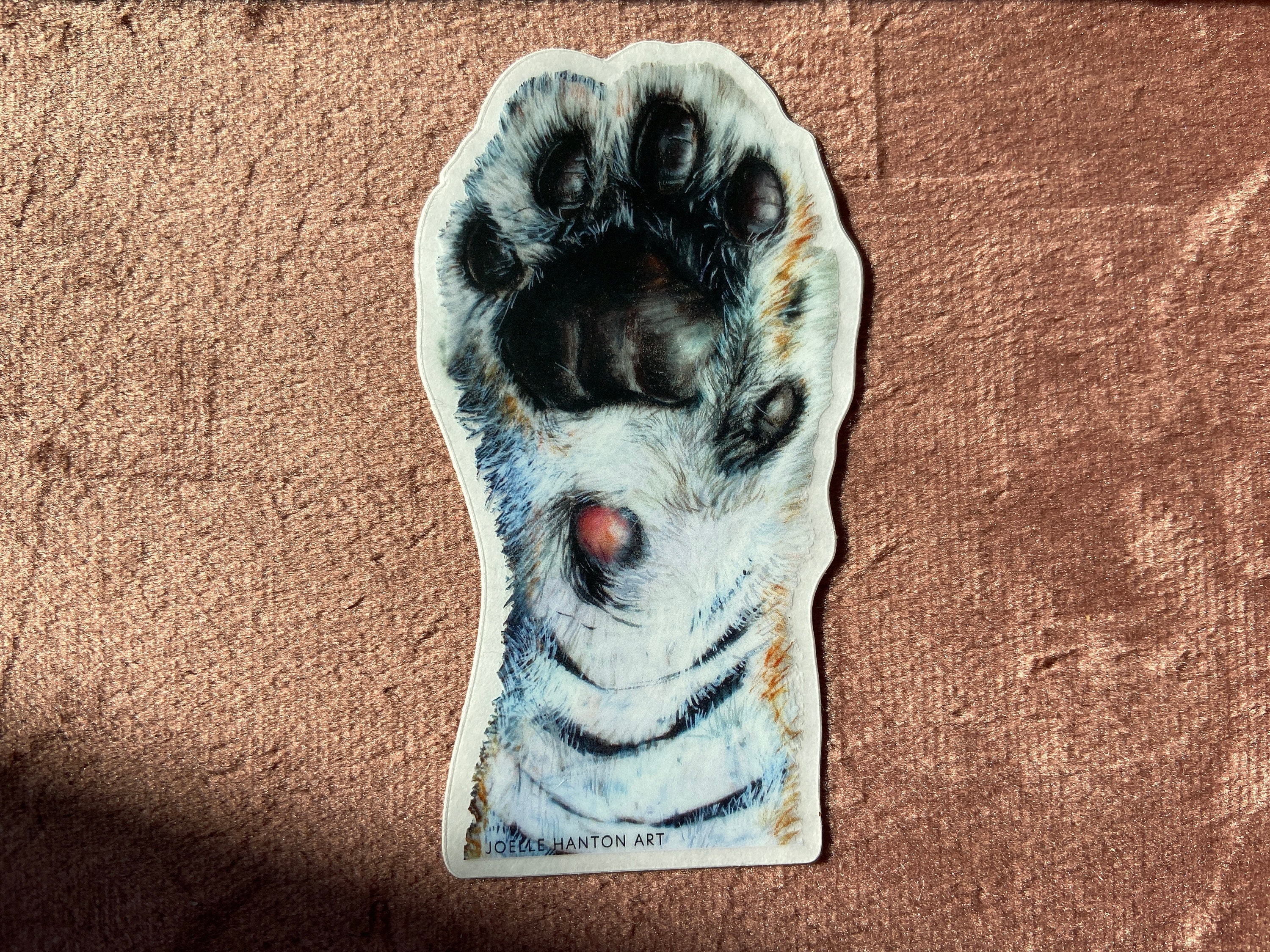Step By Step Draw Cub Paw