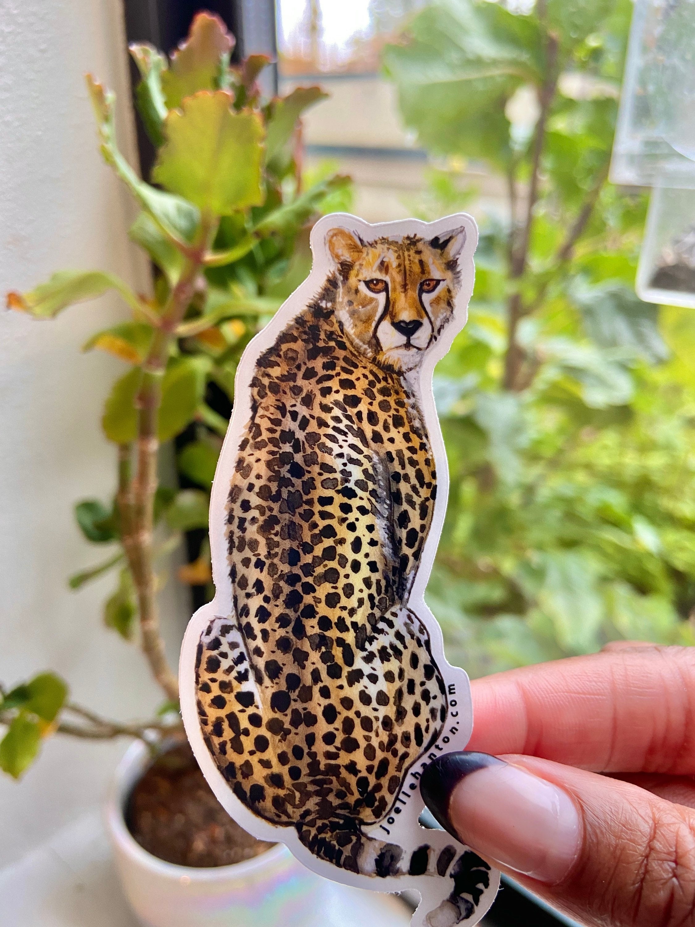 Shop Art — joelle hanton