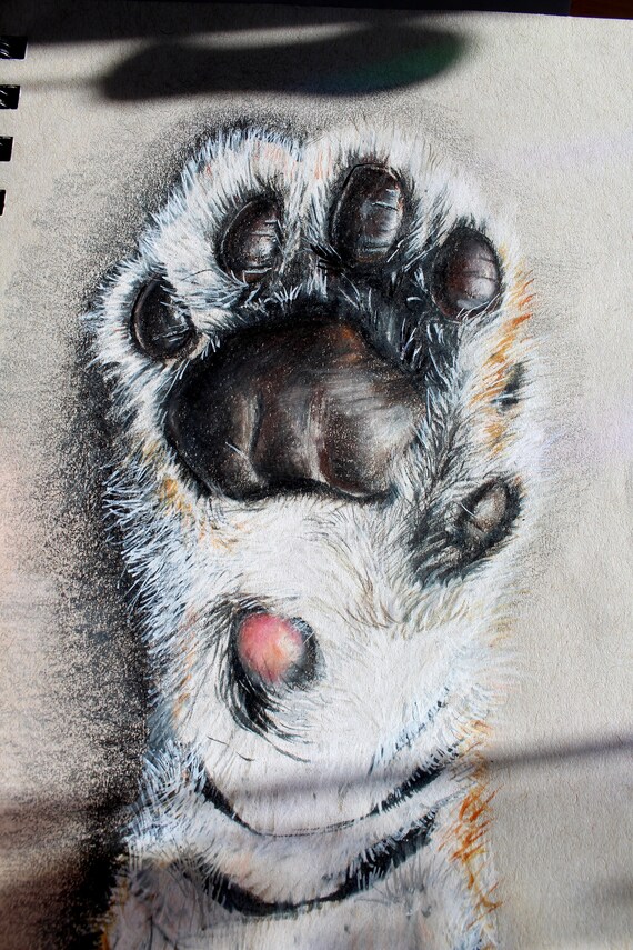 Step By Step Draw Cub Paw