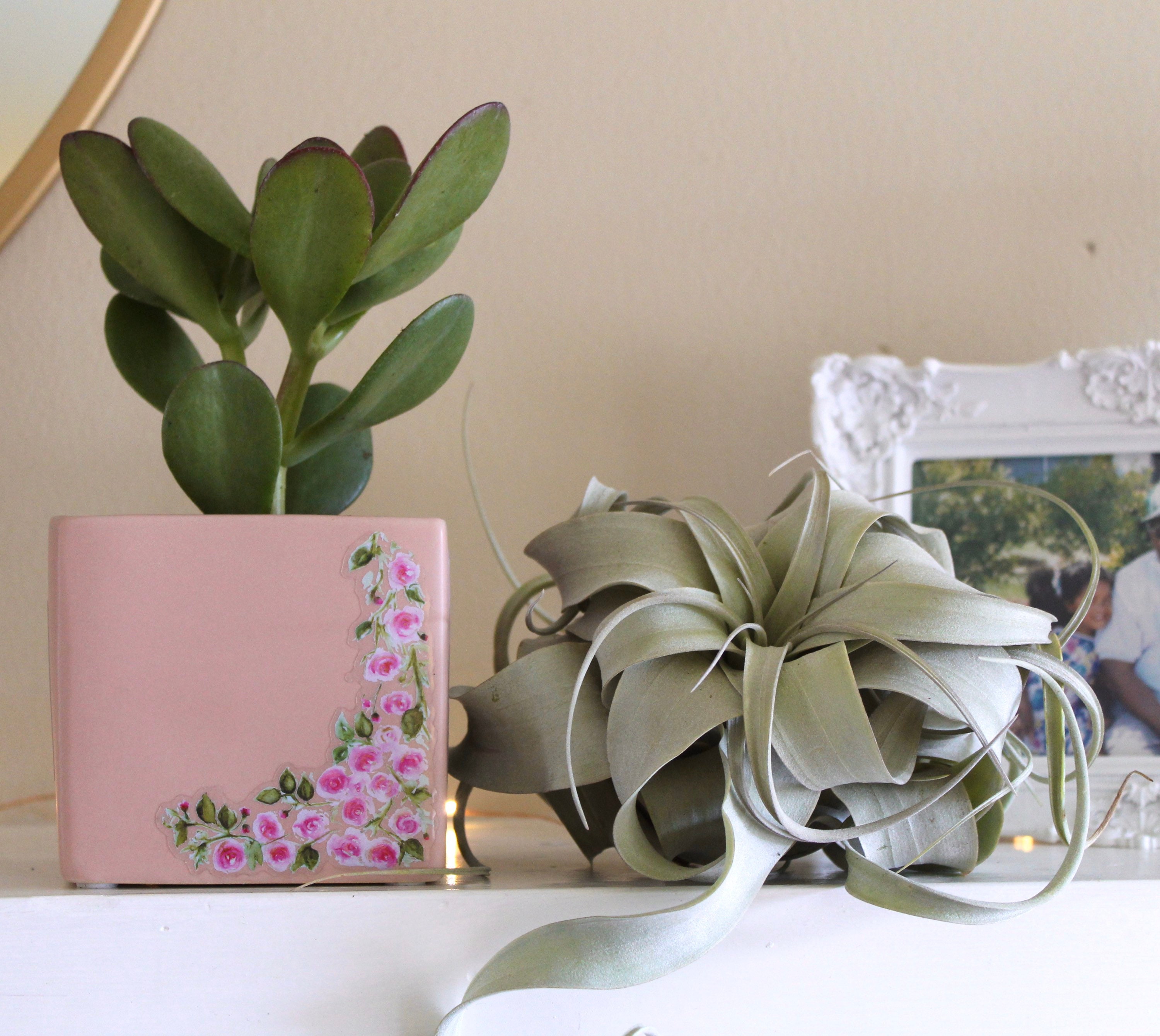 1 Clear Vinyl Corner Sticker Decal- Tiny Pink Roses Watercolor Design ...