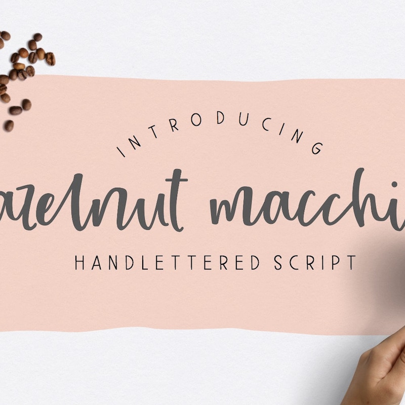 Hazelnut Illustration - Etsy