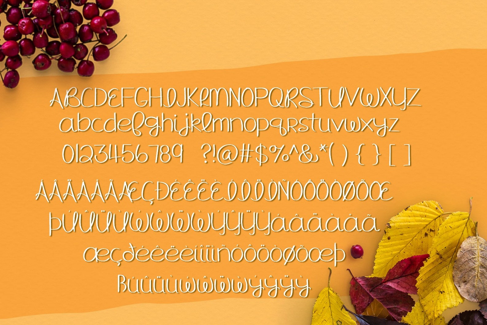 Hello Fall Handwritten Font Digital Download, True Type TTF & Open Type ...