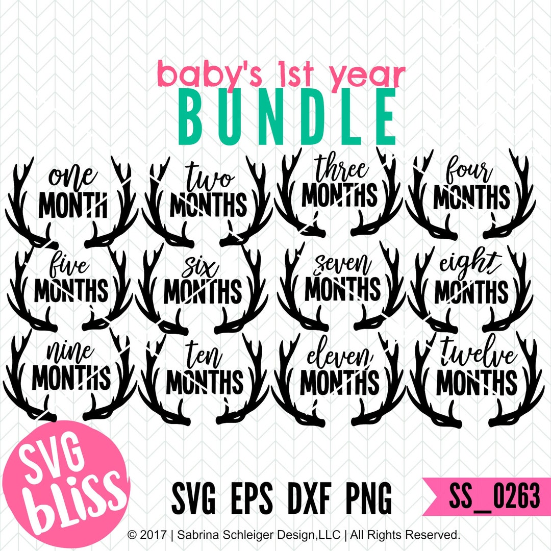 Baby Month SVG| Month Milestone SVG| First Year SVG Bundle| Svg Eps Dxf ...