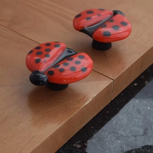 Red Ladybug Knob, Made in USA, Bug Knob, Handpainted Lady Bug Glass ...