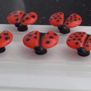 Red Ladybug Knob, Made in USA, Bug Knob, Handpainted Lady Bug Glass ...