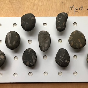 Cladopora Fossil Knobs/hooks, Fossil Soup Knobs, Made in Michigan - Etsy