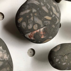 Cladopora Fossil Knobs/hooks, Fossil Soup Knobs, Made in Michigan - Etsy