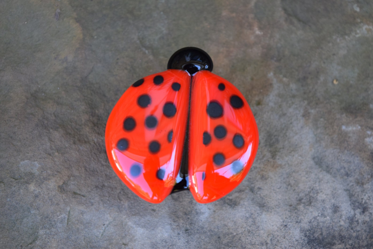 Red Ladybug Knob Made in USA Bug Knob Handpainted Lady Bug - Etsy