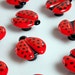 Red Ladybug Knob Made in USA Bug Knob Handpainted Lady Bug | Etsy