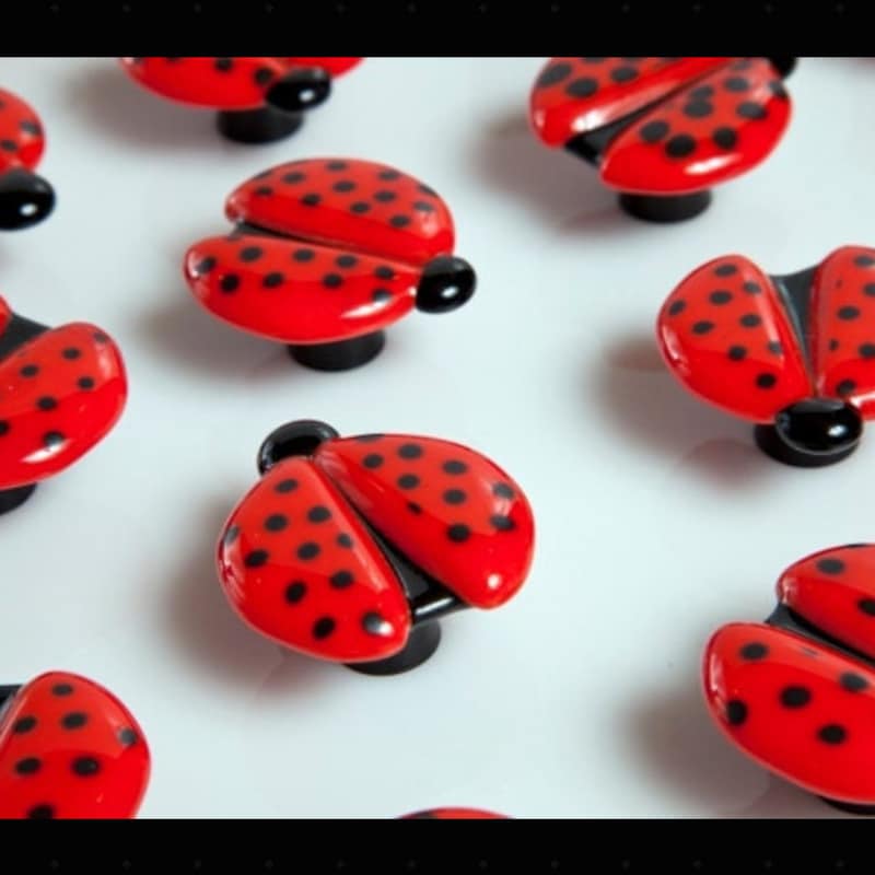 Bug Drawer Knobs - Etsy