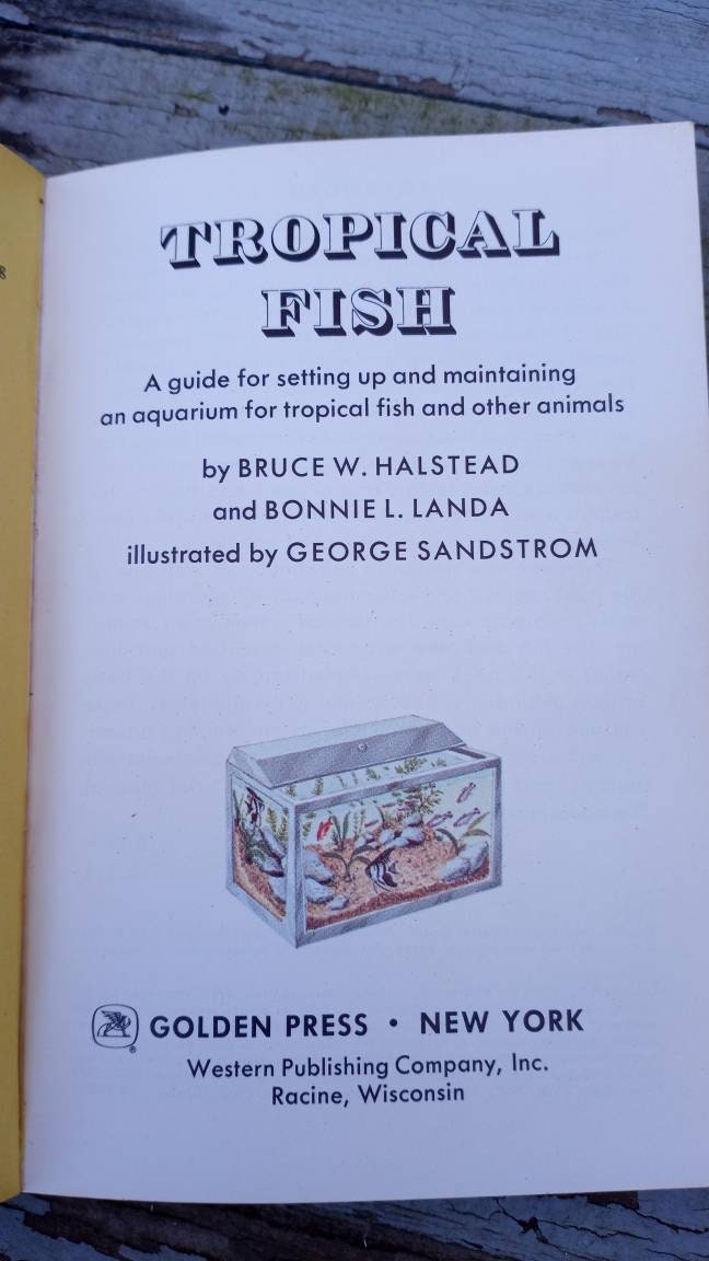 1975 Tropical Fish Golden Guide - Etsy