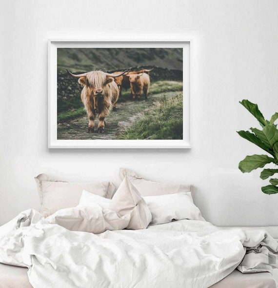 Highland Cow Print Cow Wall Art Farmhouse Wall Decor Modern | Etsy