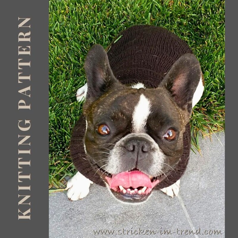 Bulldog Knitting Pattern - Etsy