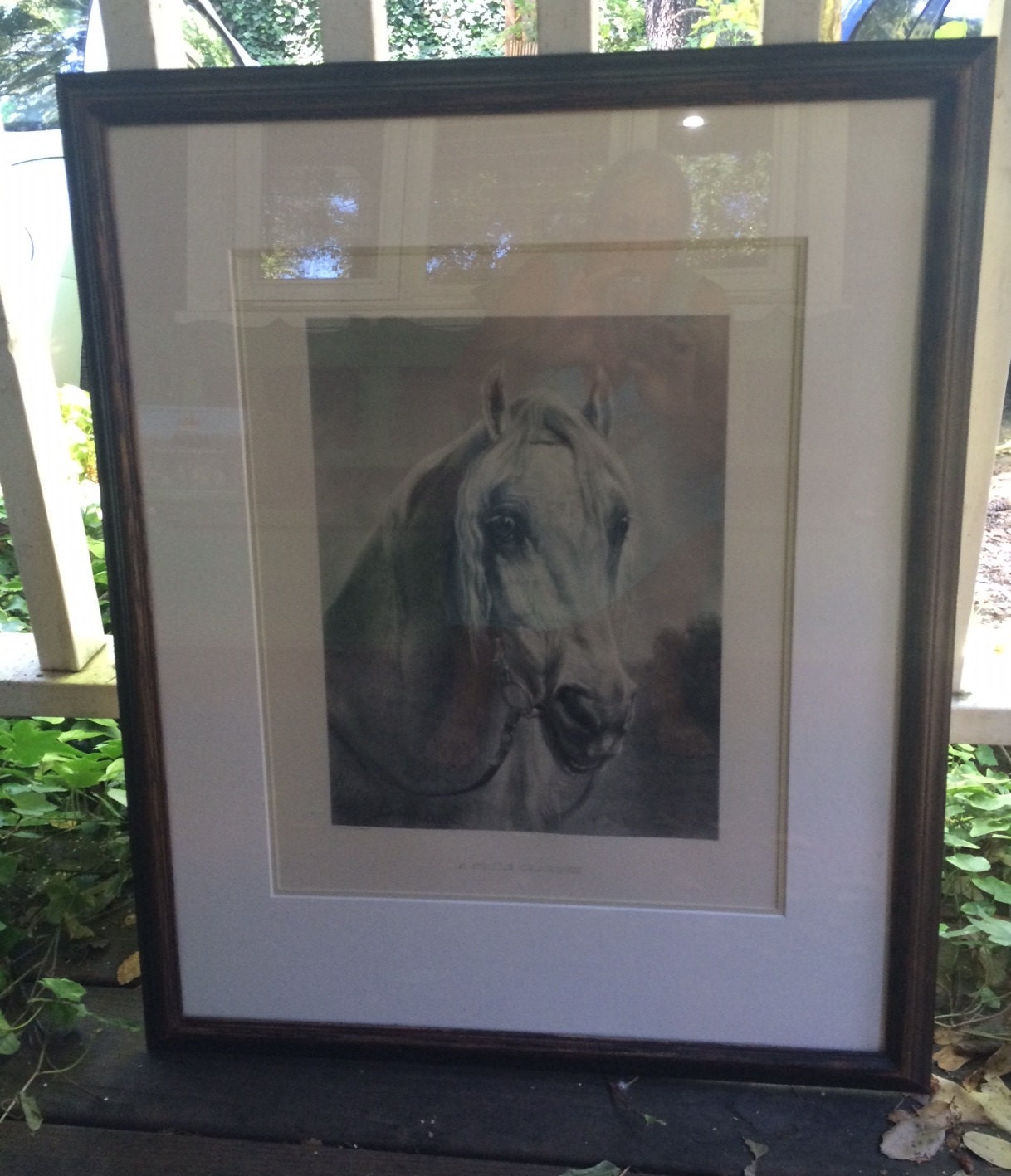 Antique Framed Rosa Bonheur Victorian Arabian Horse Lithograph Print A ...