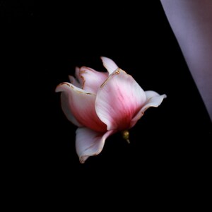 Magnolia Brooch Pink Magnolia Brooch Pin Flower Jewelry | Etsy