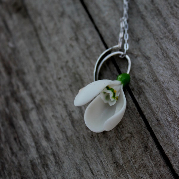 Cold Porcelain Flowers - Etsy